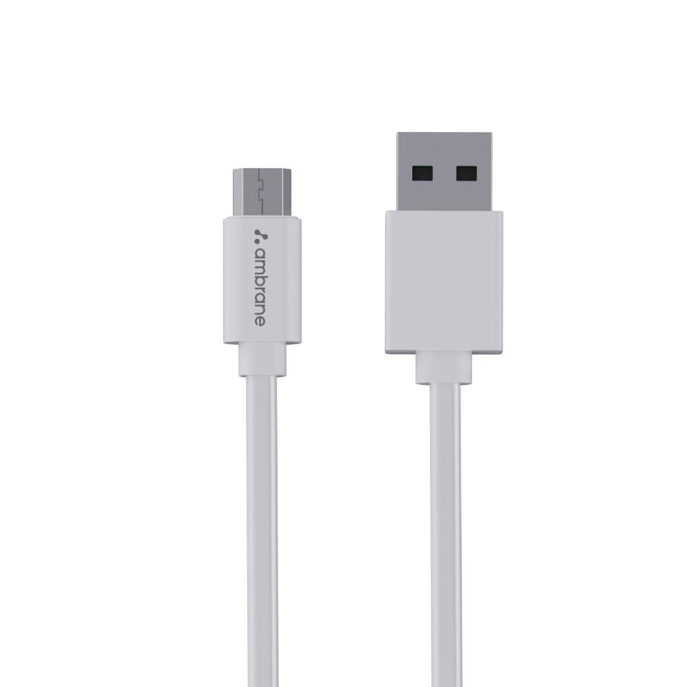 Buy Ambrane ACM-R1A2 100 cm (1 m) Micro USB Cable, 2.4A Boosted Speed ...