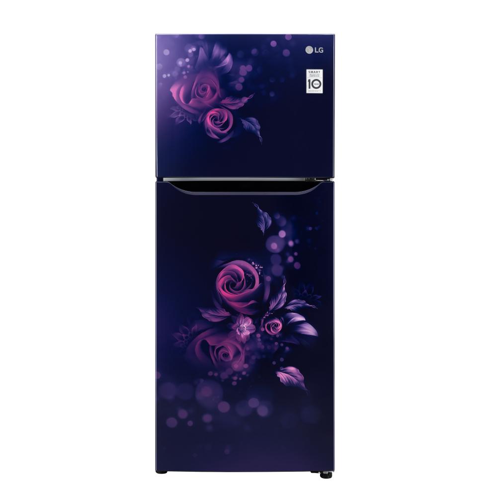 Buy LG 242 L 2 Star Frost-Free Double Door Refrigerator Blue Euphoria ...