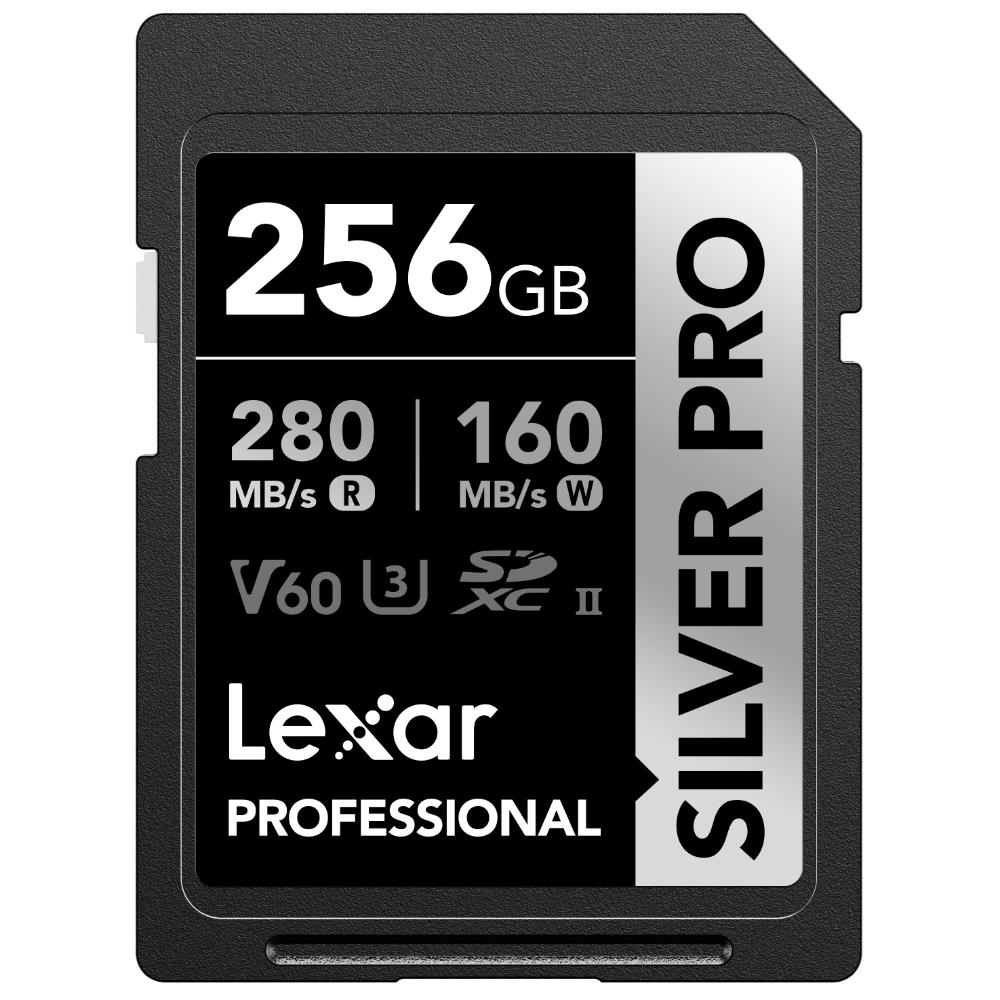 Buy Lexar 256 GB Professional Silver Pro SDXC UHS-II Memory Card ...