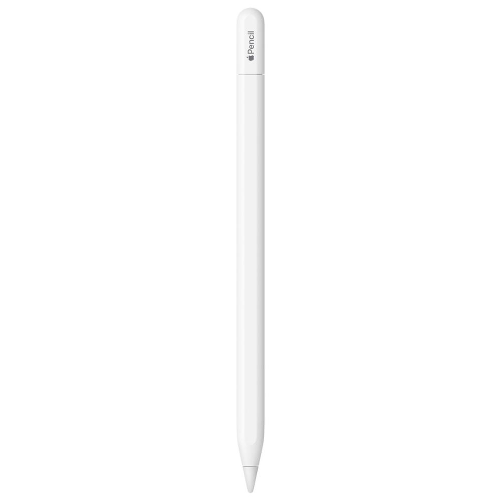 Buy Apple USB-C-ZML Pencil For iPad Pro 32.76 cm (12.9 inch), iPad Pro ...