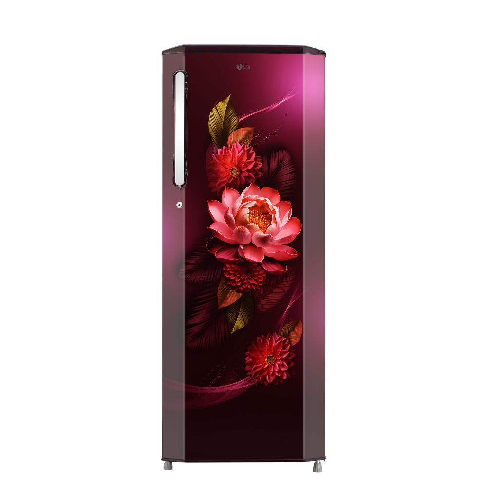 LG 261 L 3 Star Direct Cool Single Door Refrigerator, Red Water Lily ...